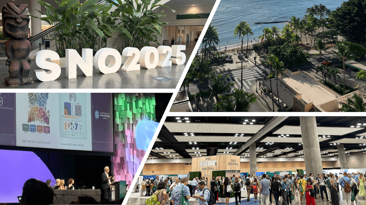 第7回世界脳腫瘍学会 / 第30回米国脳腫瘍学会（7th WFNOS/30th SNO） | 金沢大学脳神経外科